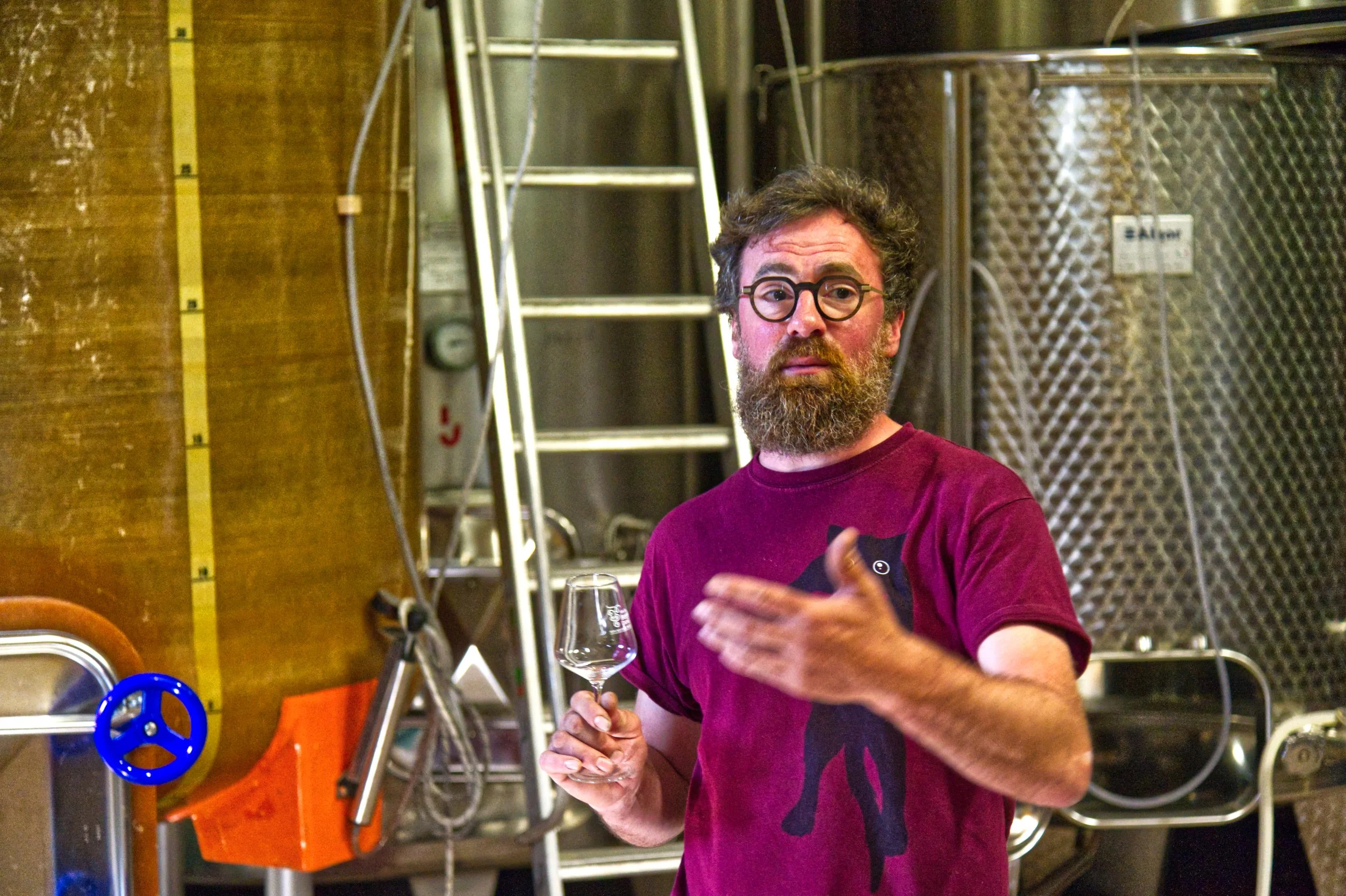 Wines Under the Bonnet