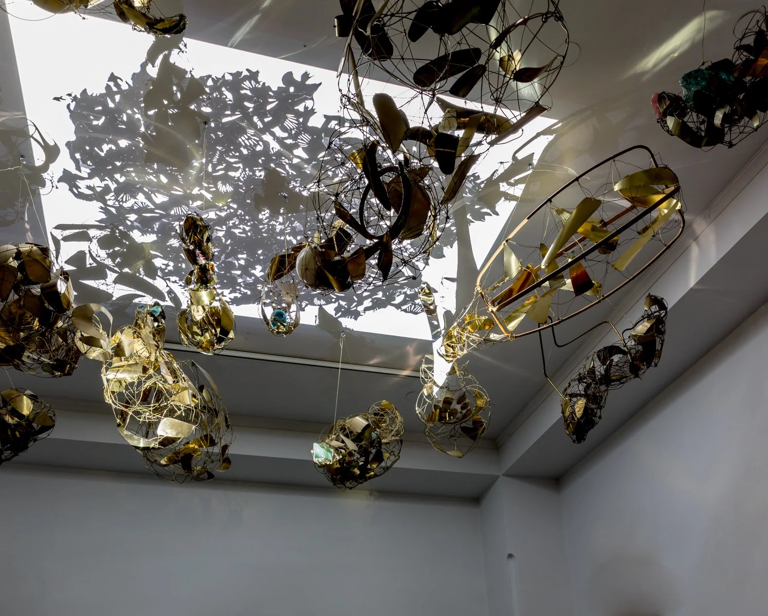 CURRENT EXHIBTION — IVO BISIGNANO