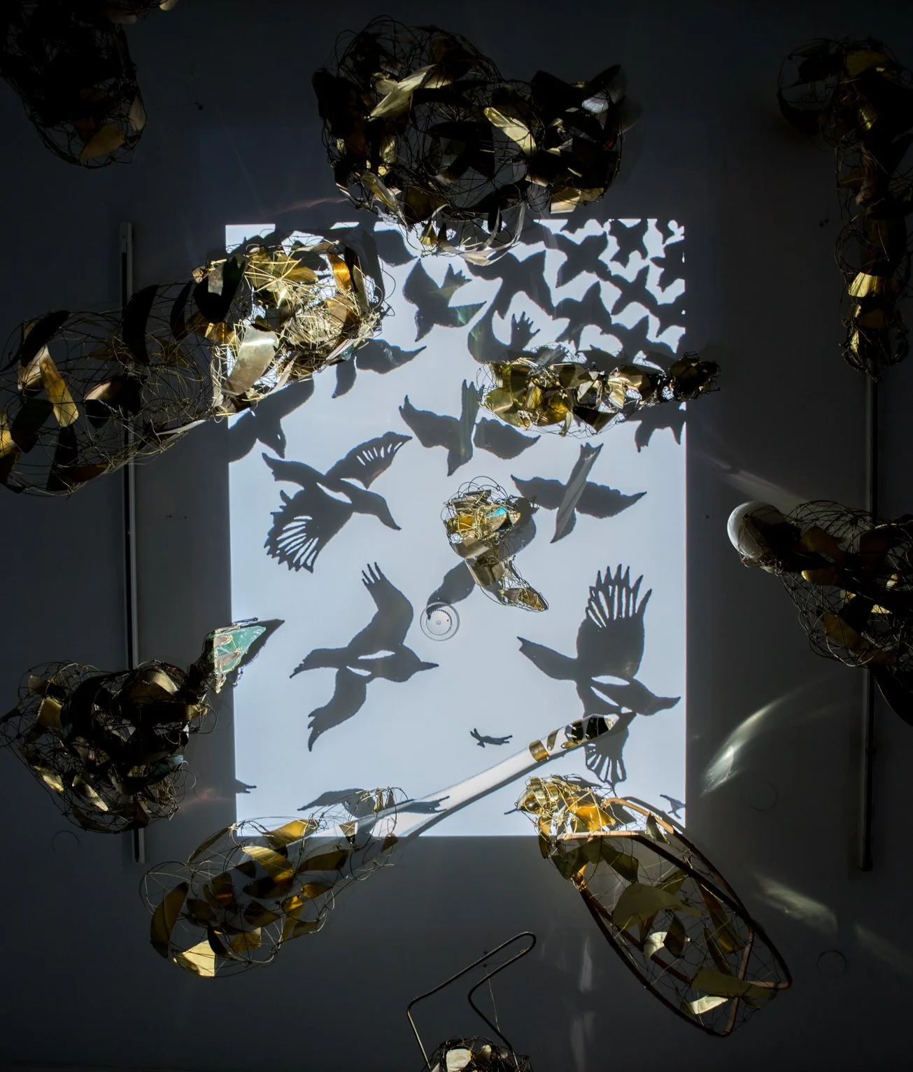 CURRENT EXHIBTION — IVO BISIGNANO