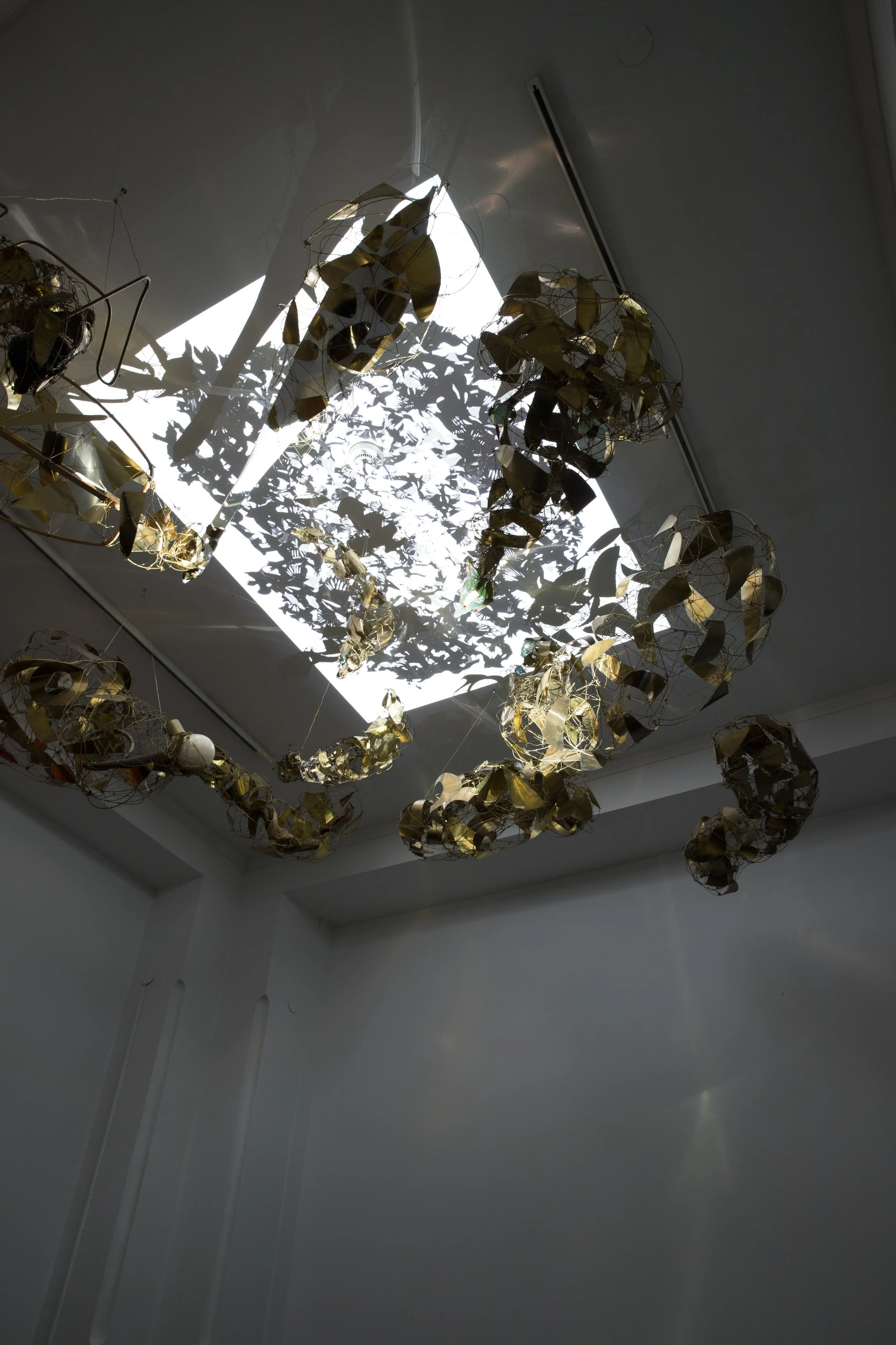 CURRENT EXHIBTION — IVO BISIGNANO
