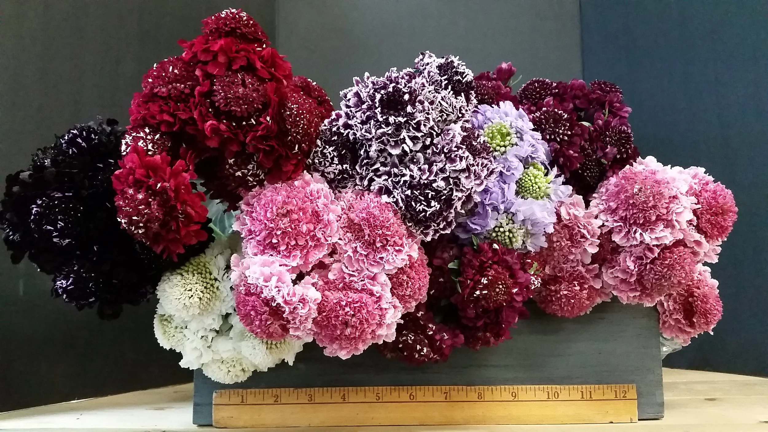 Accent/Mass Flowers — Fair Trade Floral