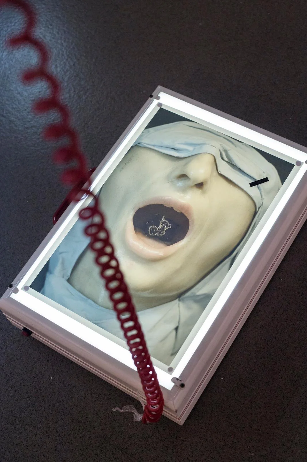 Parallel Lines: Liza Ambrossio — Musée Magazine