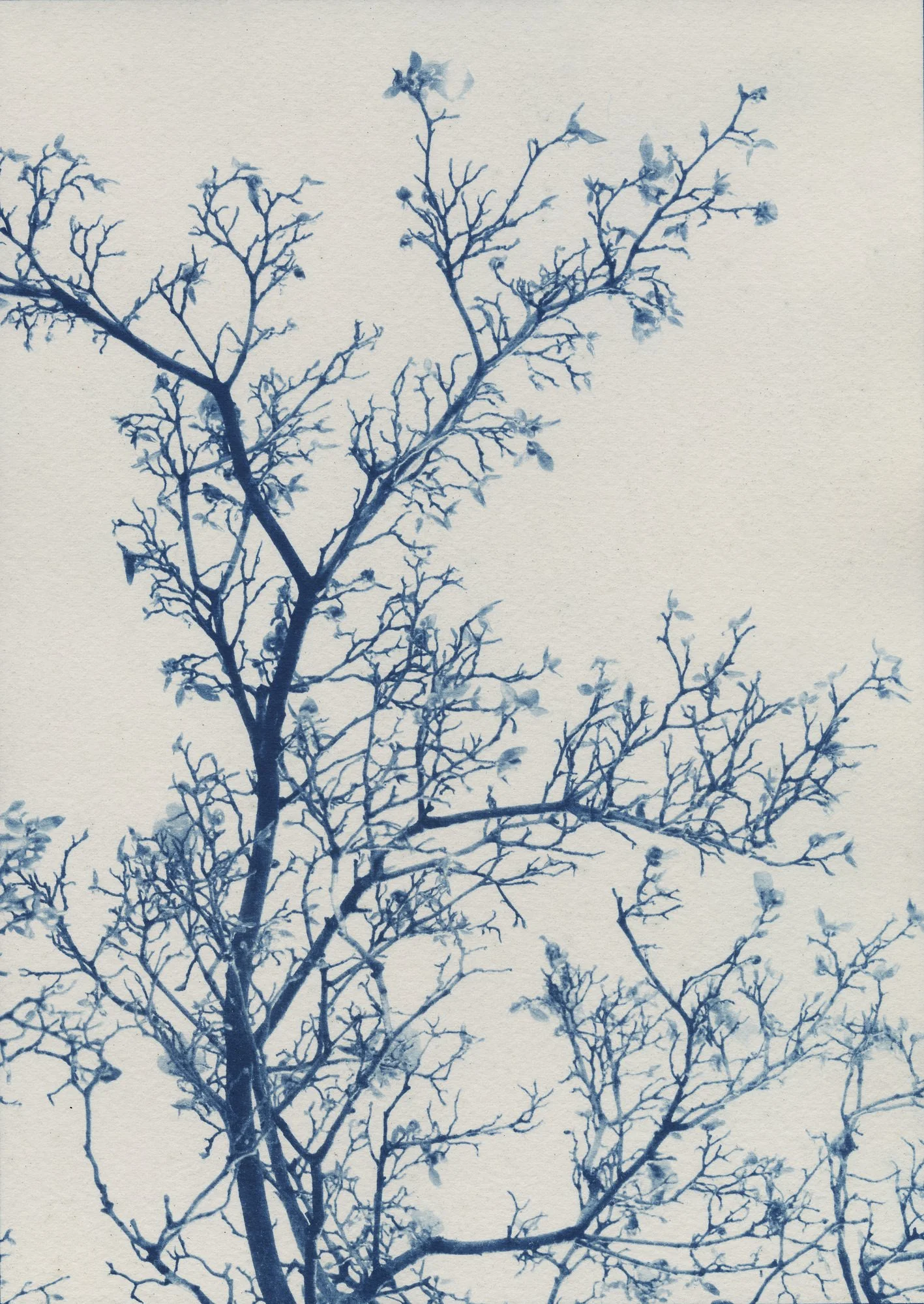 Dora Somosi: Alchemy of Memory | Gilman Contemporary — Musée Magazine