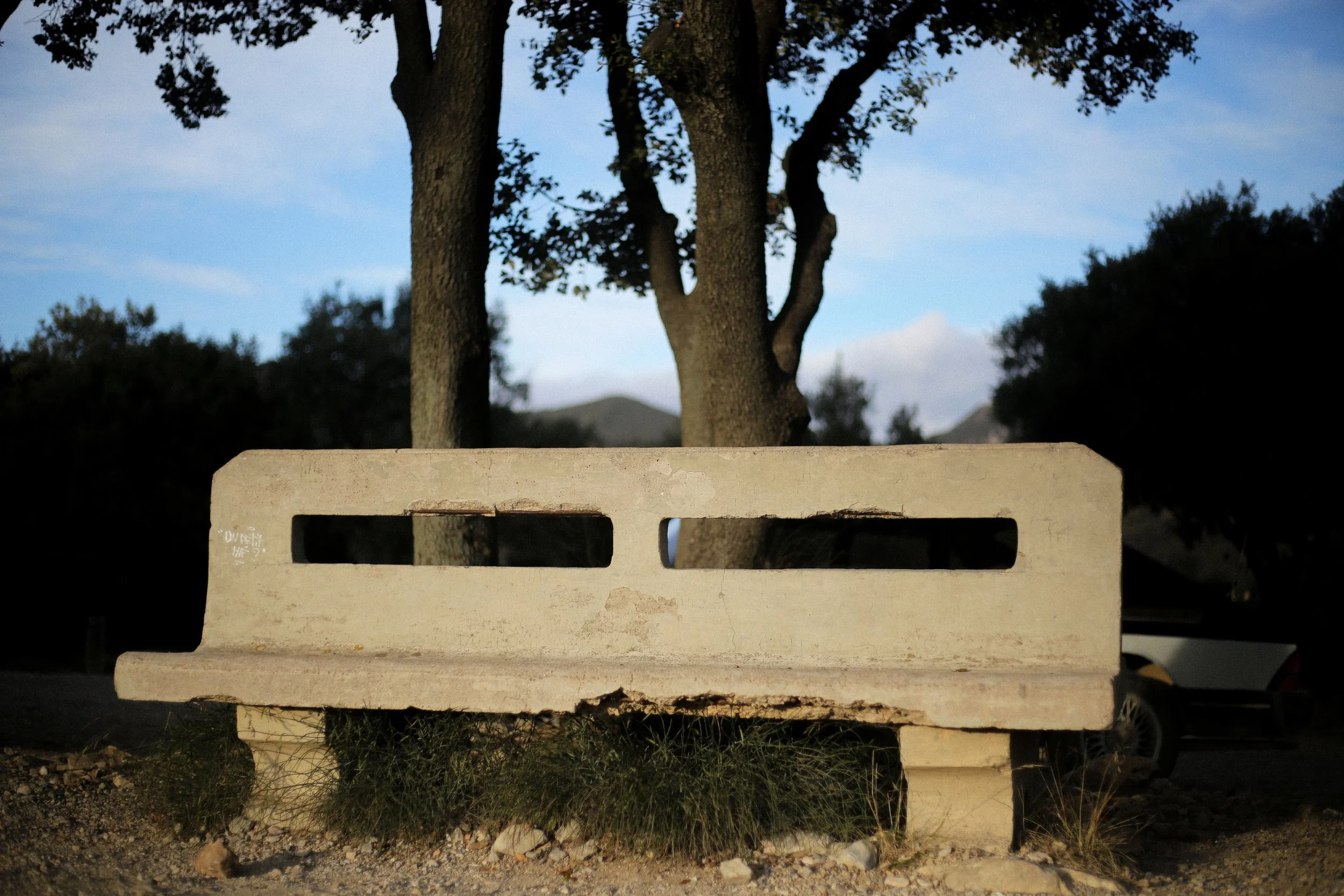 Ivy-Rose Carr — Musée Magazine