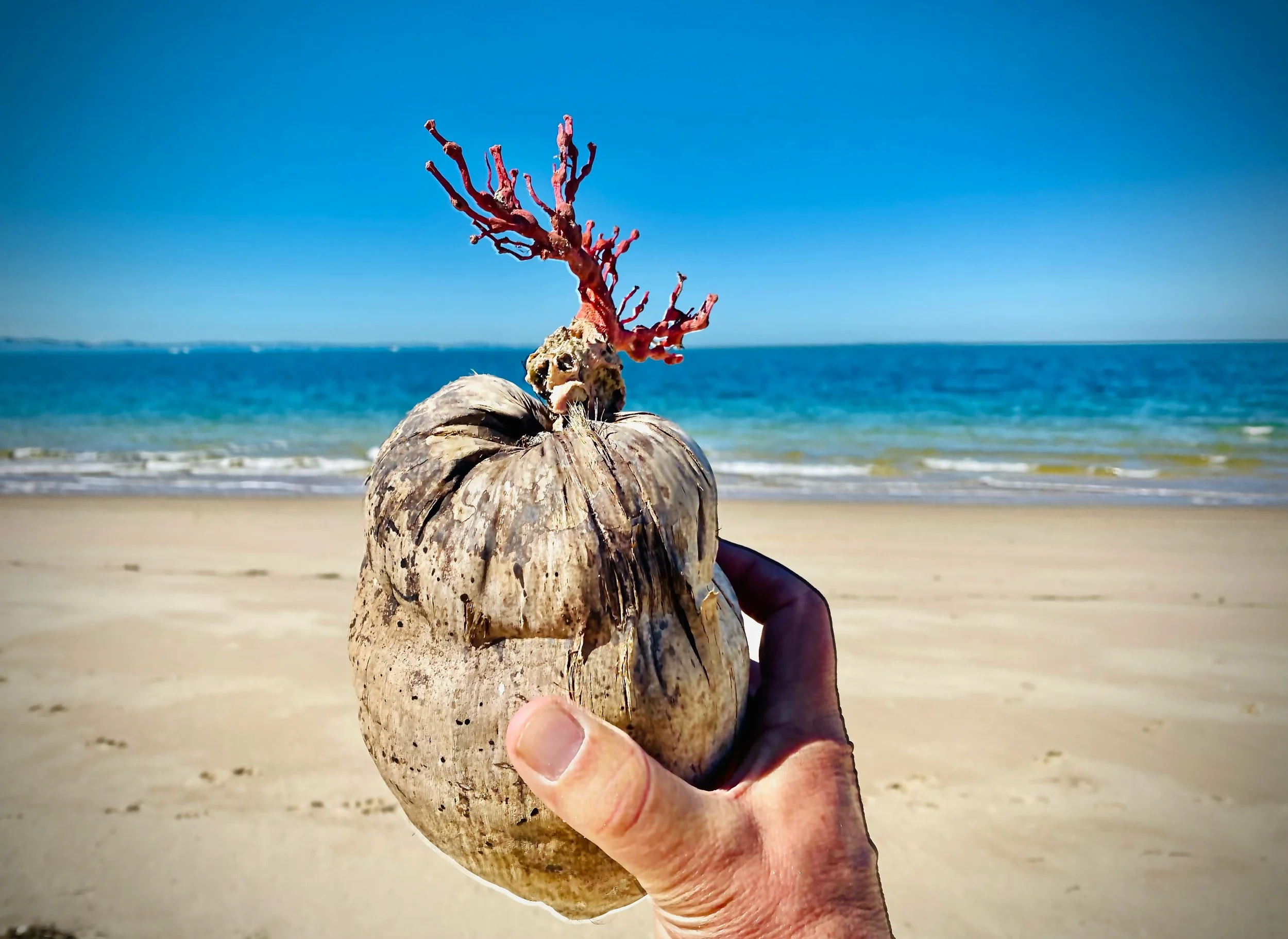 Ode To Beach Days — Musée Magazine