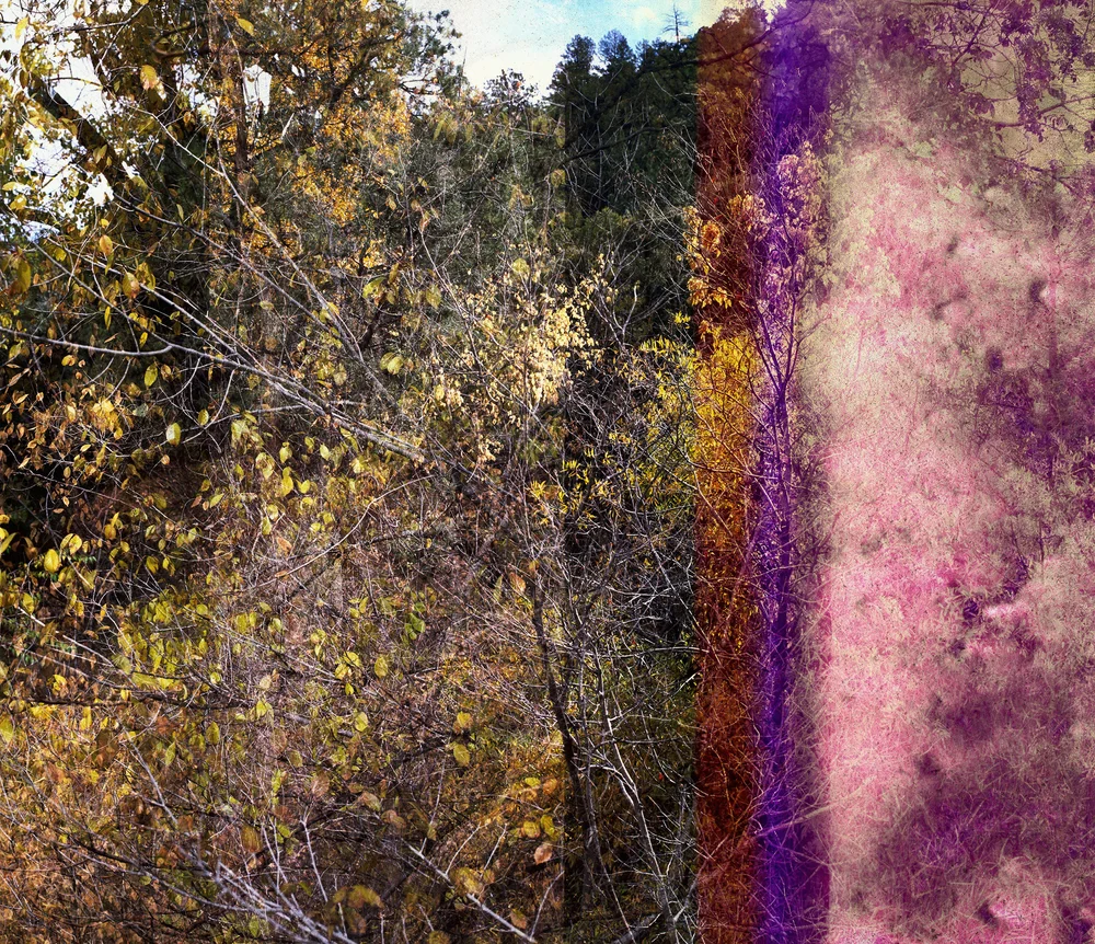 Doug Fogelson at Sasha Wolf Gallery — Musée Magazine