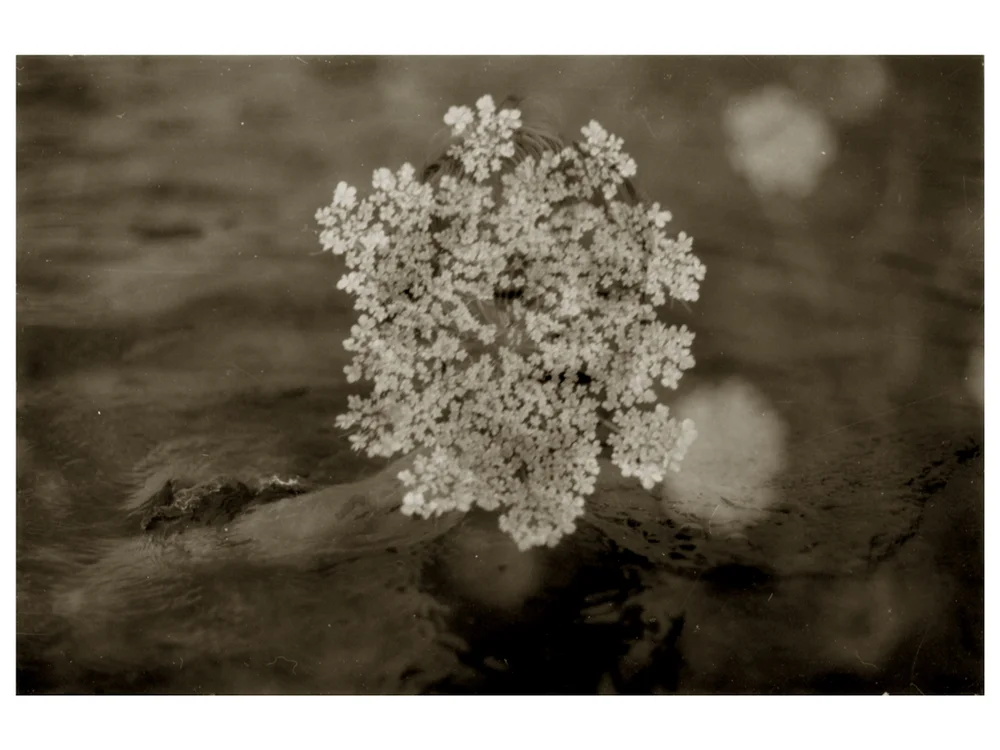 Robin Cracknell at Sous Les Etoiles — Musée Magazine