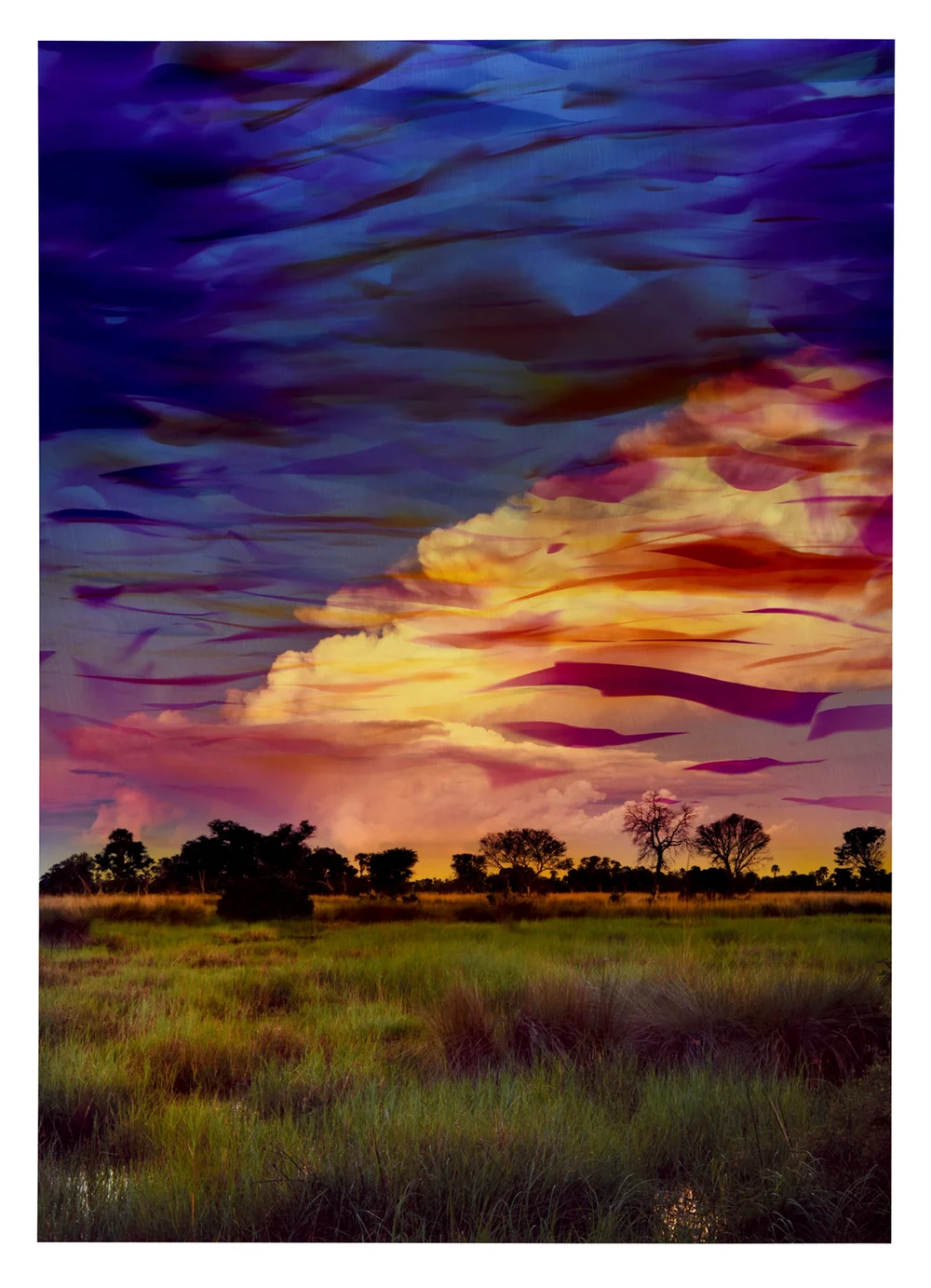 Chloe Sells at Julie Saul Gallery — Musée Magazine