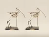 Jim Naughten at Klompching Gallery — Musée Magazine