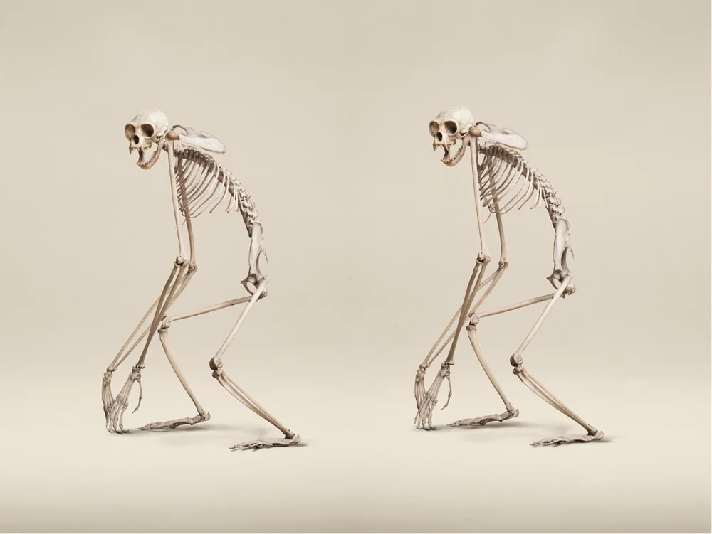 Jim Naughten at Klompching Gallery — Musée Magazine