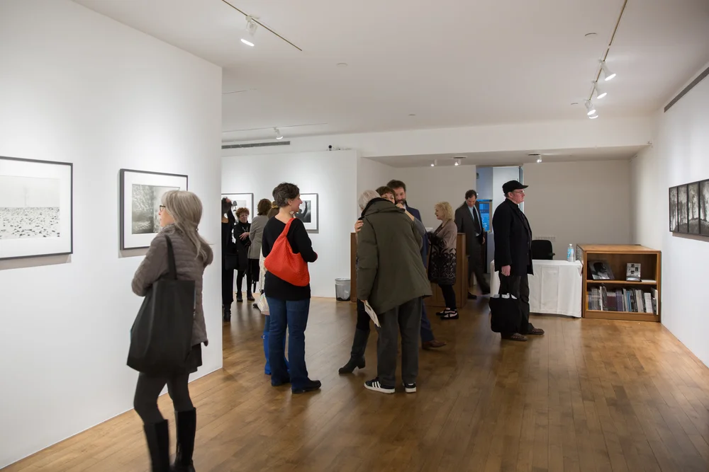 Art Out: Debbie Fleming Caffery and Machiel Botman at Gitterman Gallery ...