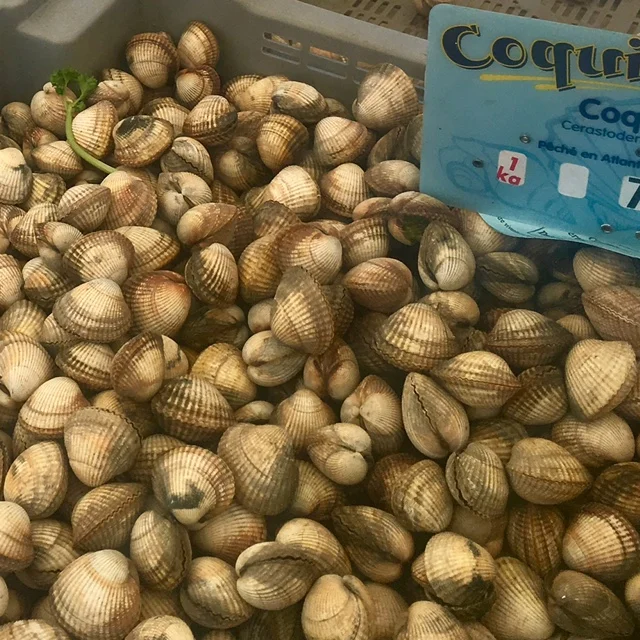 Summer Portfolio: Susan Chalom — Musée Magazine