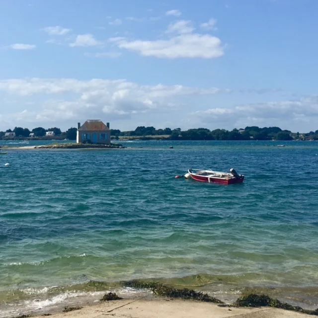 Summer Portfolio: Susan Chalom — Musée Magazine