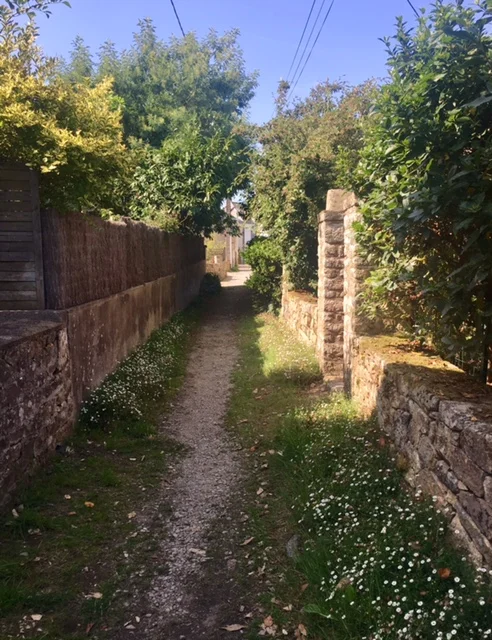 Summer Portfolio: Susan Chalom — Musée Magazine