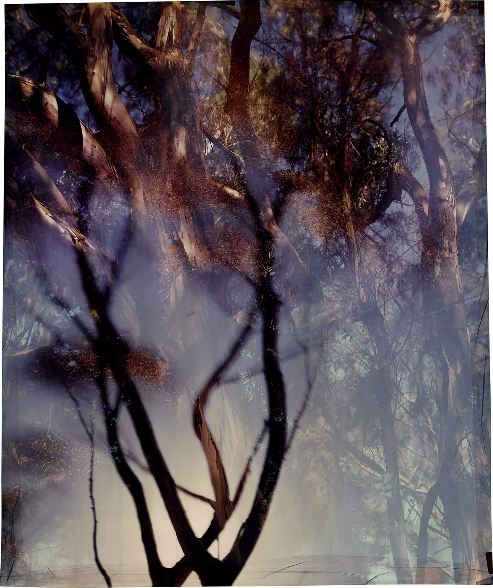 Book Review: California by John Chiara — Musée Magazine