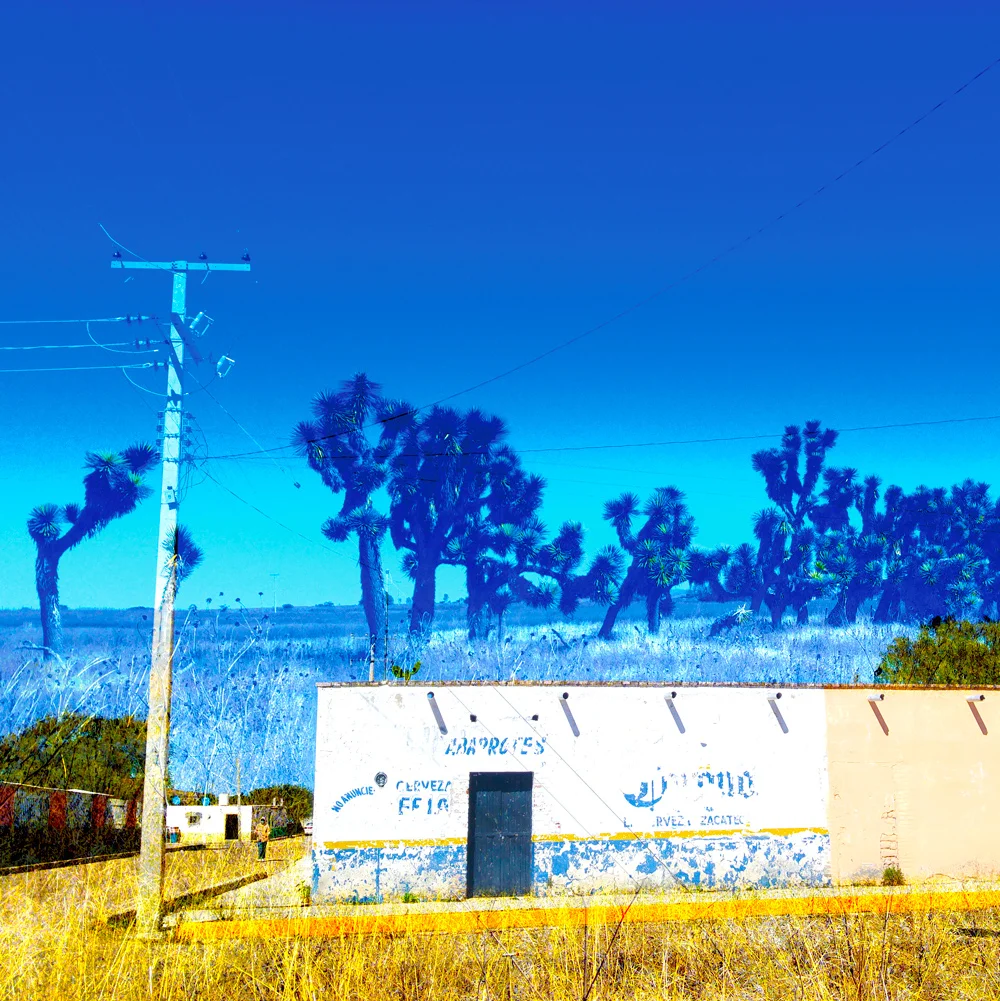 Weekend Portfolio: Marcel del Castillo — Musée Magazine