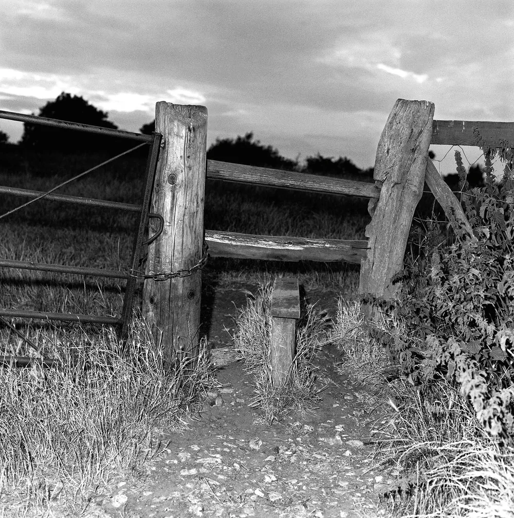 Book Review: Kevin Lear: A Glass Darkly — Musée Magazine