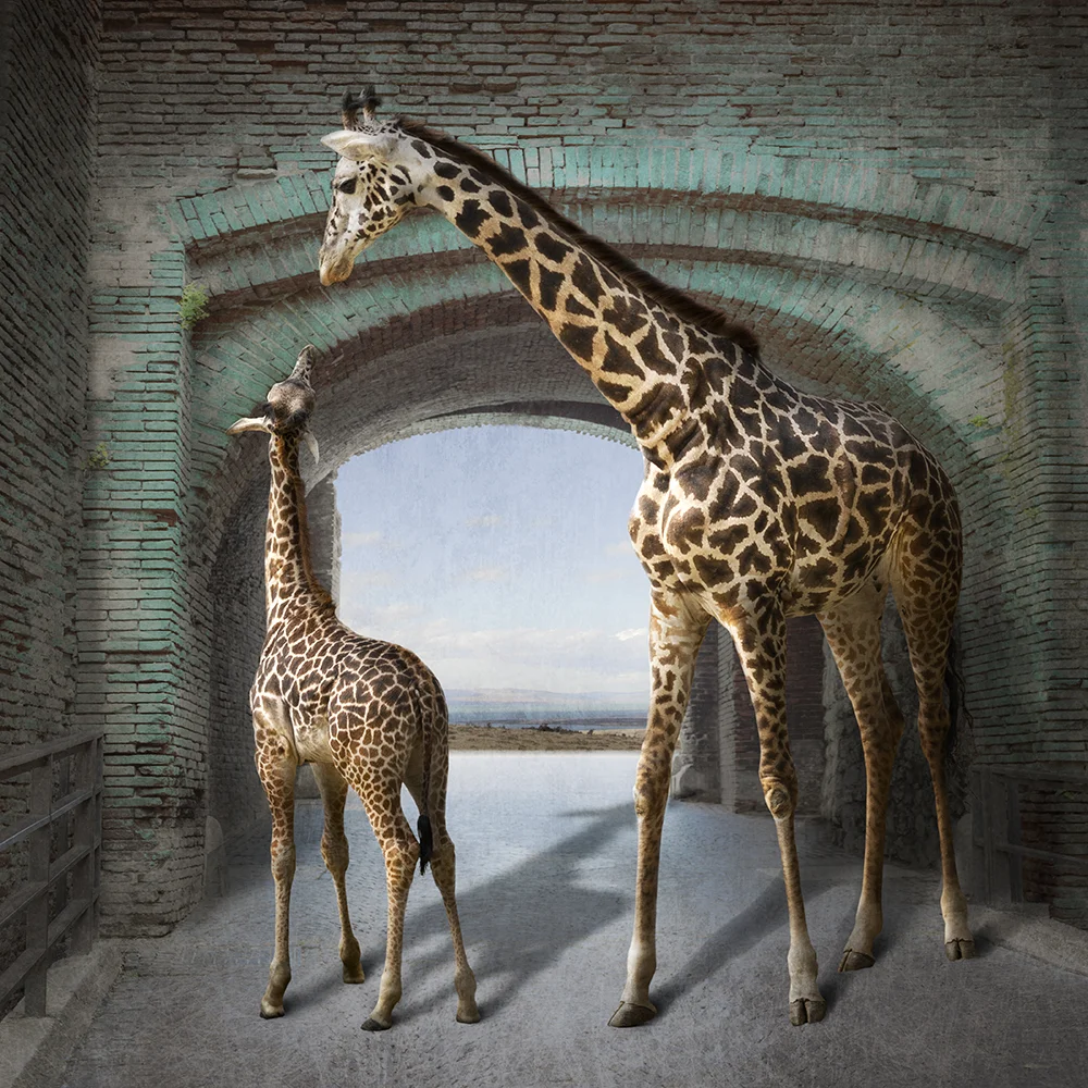 Woman Crush Wednesday: Carol Erb — Musée Magazine