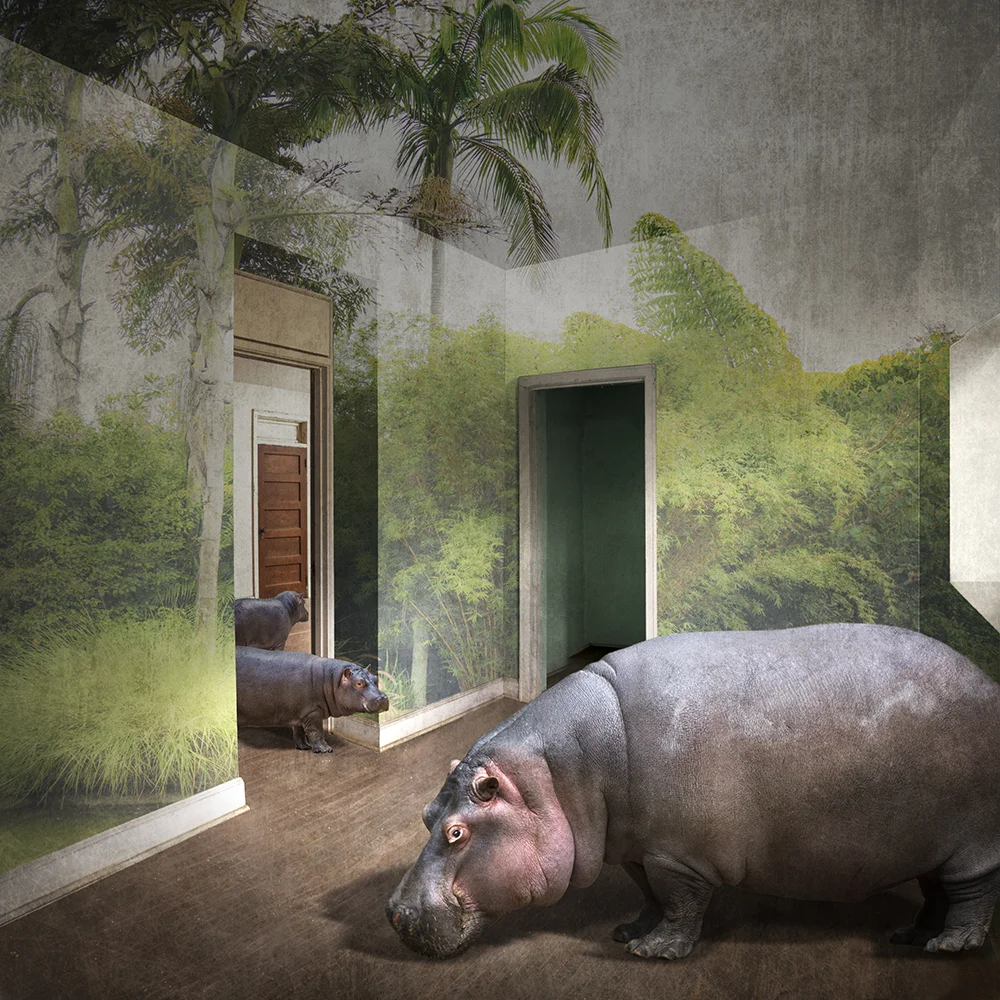 Woman Crush Wednesday: Carol Erb — Musée Magazine