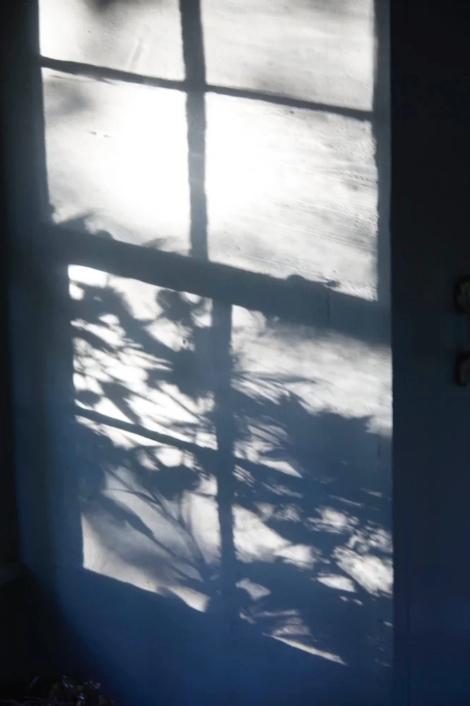 Martyn Thompson - "A Photographer Writing": #3 Sunlight and Shadows ...