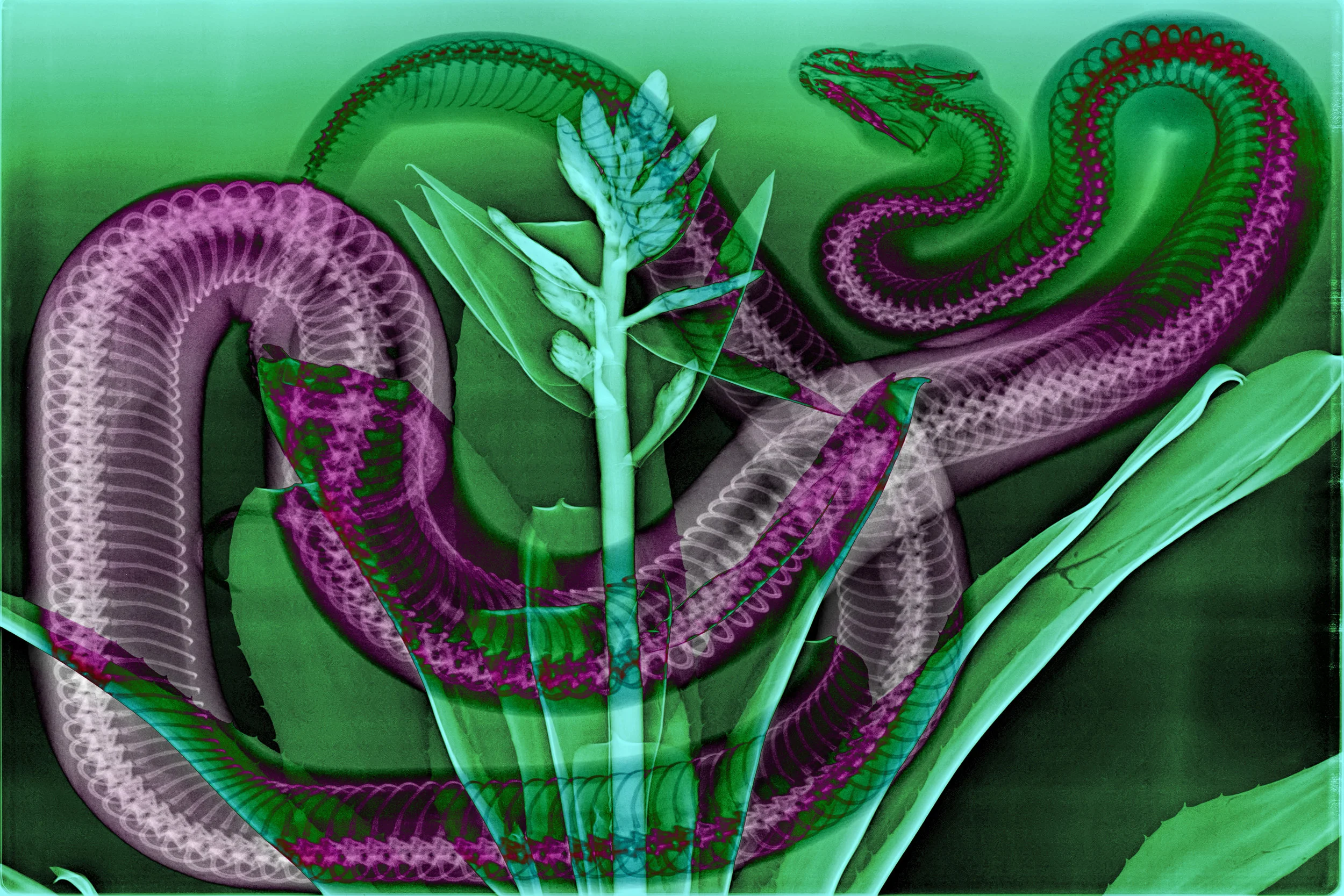 The Billboard Creative 2018: Shortlist - Curated by Andrea Blanch ...