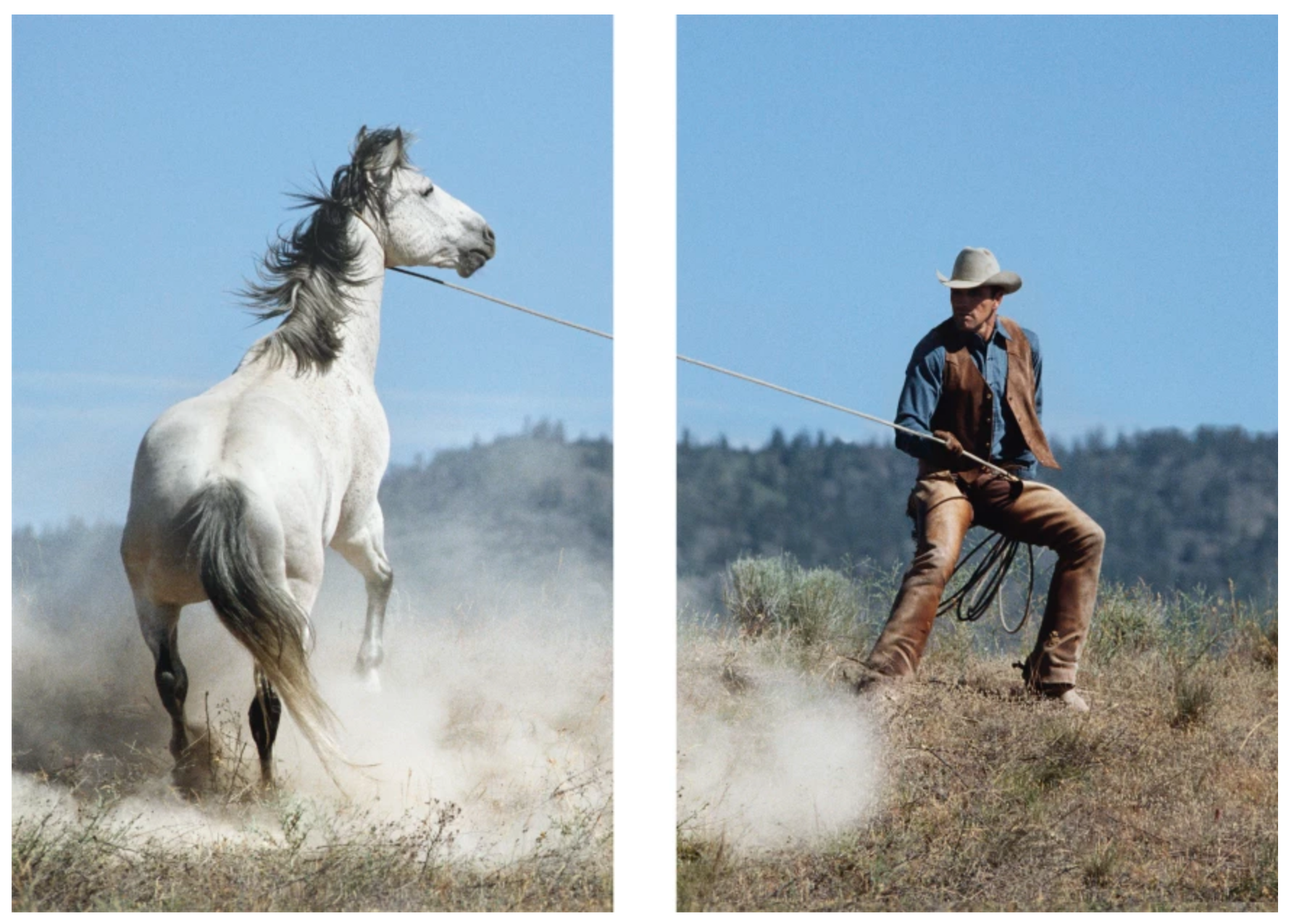Norman Classen: Horsing Around — Musée Magazine