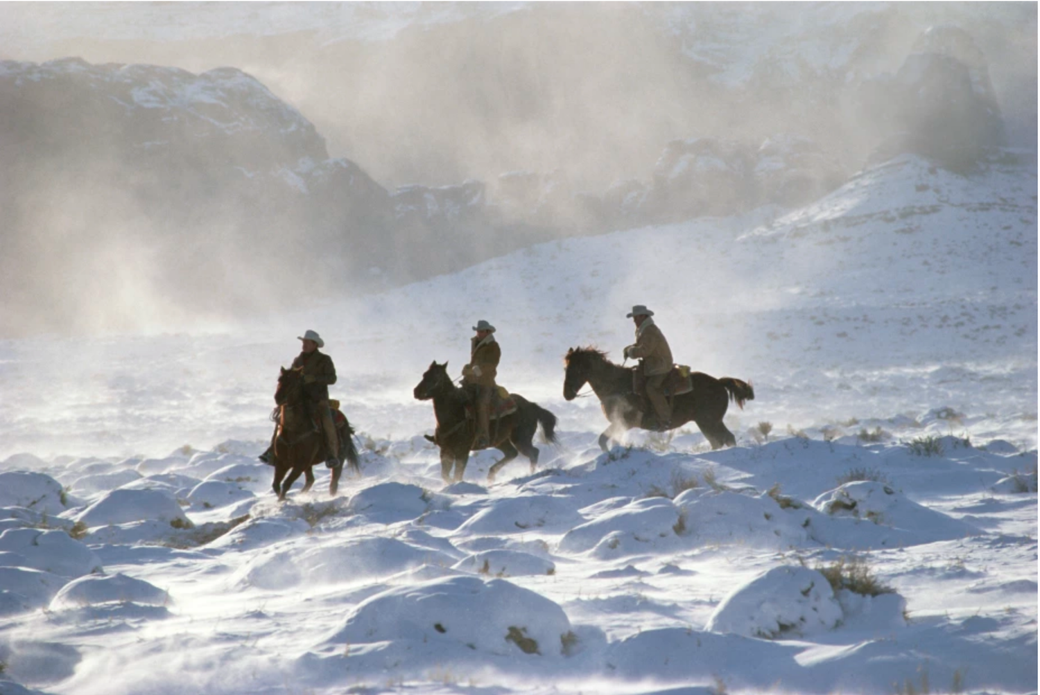 Norman Classen: Horsing Around — Musée Magazine