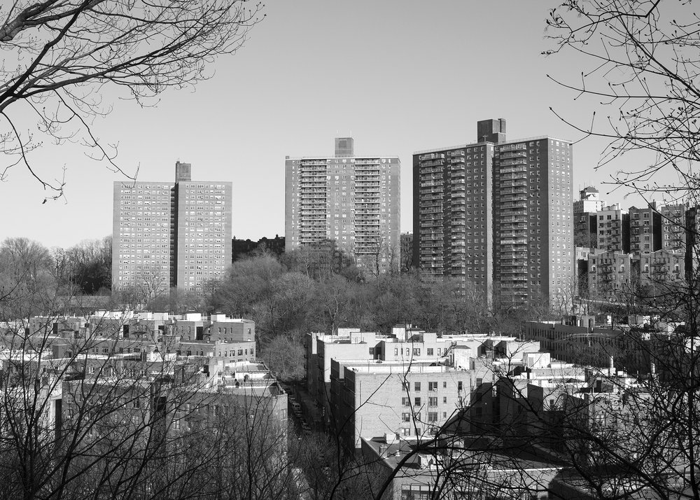 Photo Journal Monday: Joey Solomon — Musée Magazine