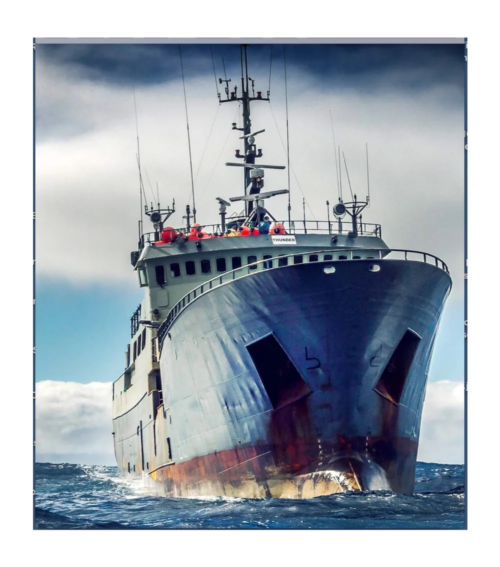 Film Review: Chasing the Thunder (2018) — Musée Magazine