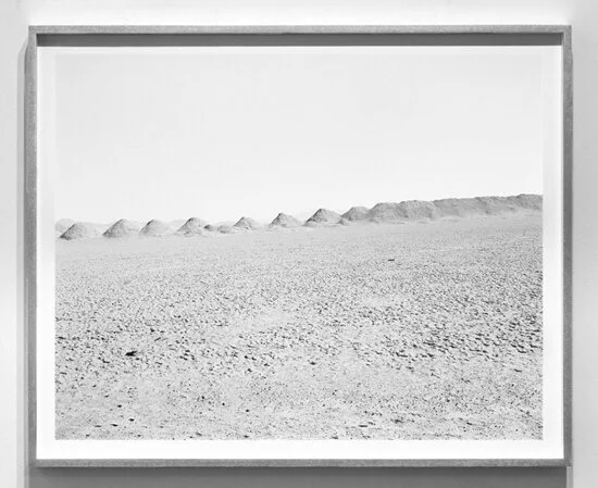 Art Out: Susan Lipper - Domesticated Land — Musée Magazine