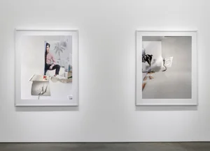 In Conversation With Laura Letinsky — Musée Magazine
