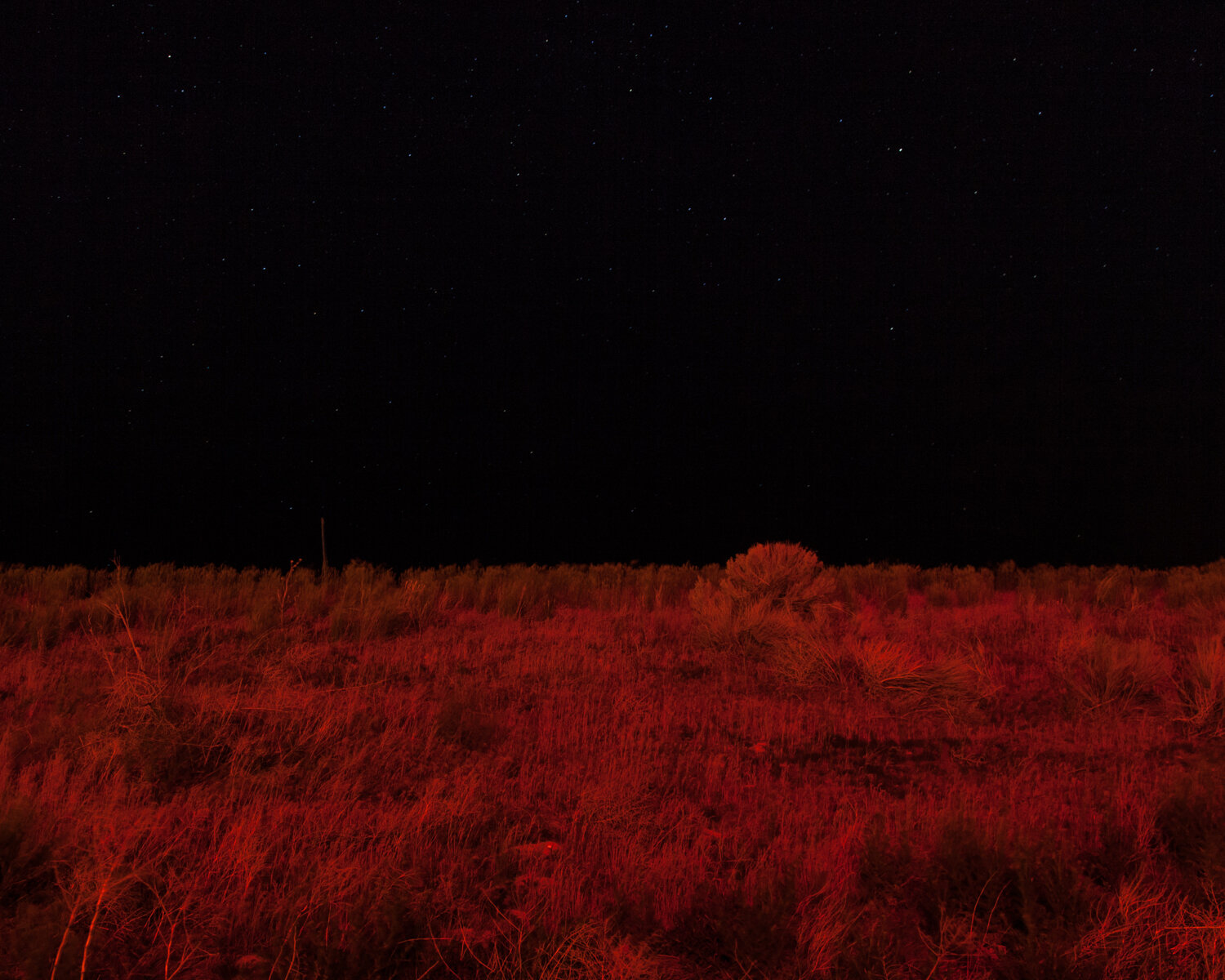 Rural America: Photography as Cultural Narrative — Musée Magazine