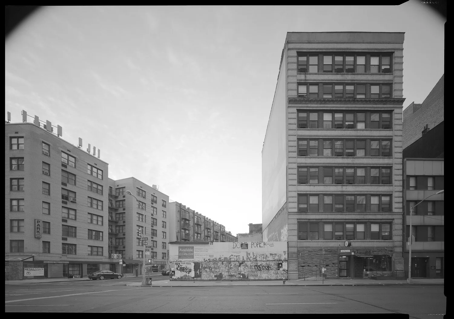 Look Up — Musée Magazine