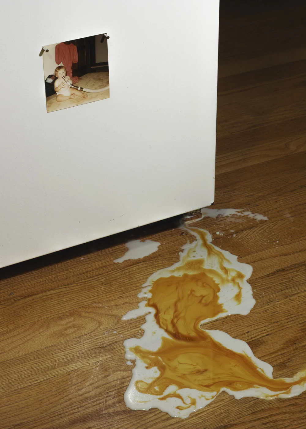 Triggered: Elizabeth Hibbard — Musée Magazine