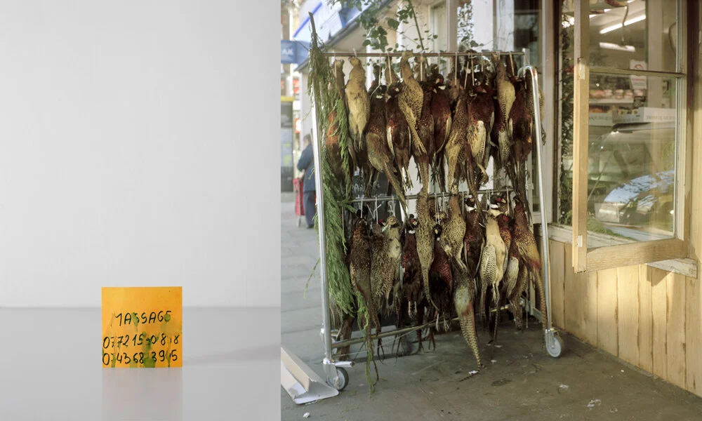 Photo Journal Monday: Carlos Alba — Musée Magazine