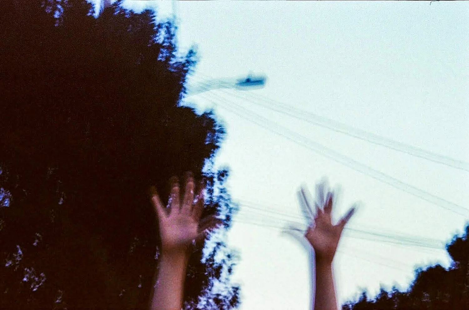 Photo Journal Monday: Timothy Smith — Musée Magazine