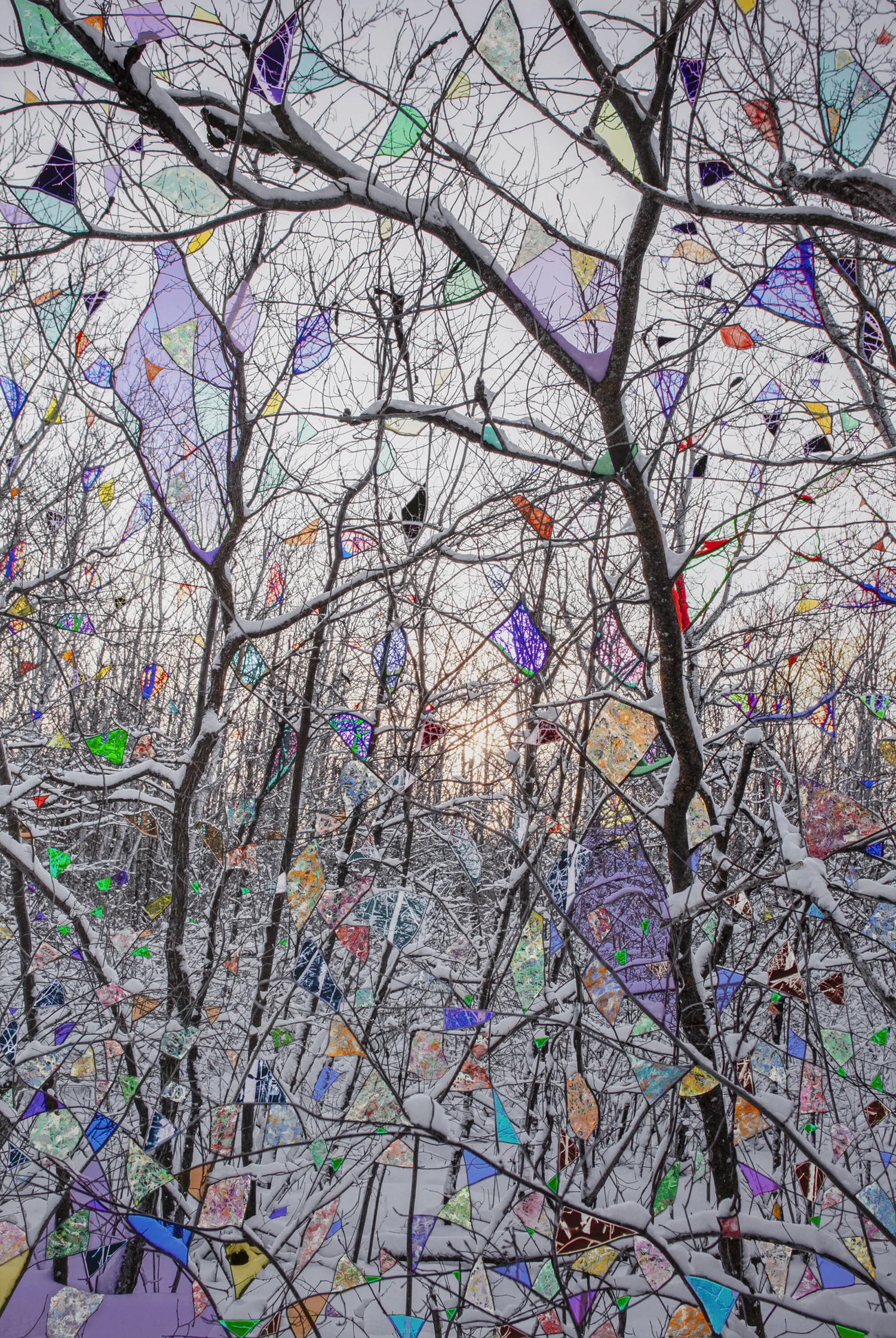 Exhibition Review: Sarah Anne Johnson at Yossi Milo — Musée Magazine