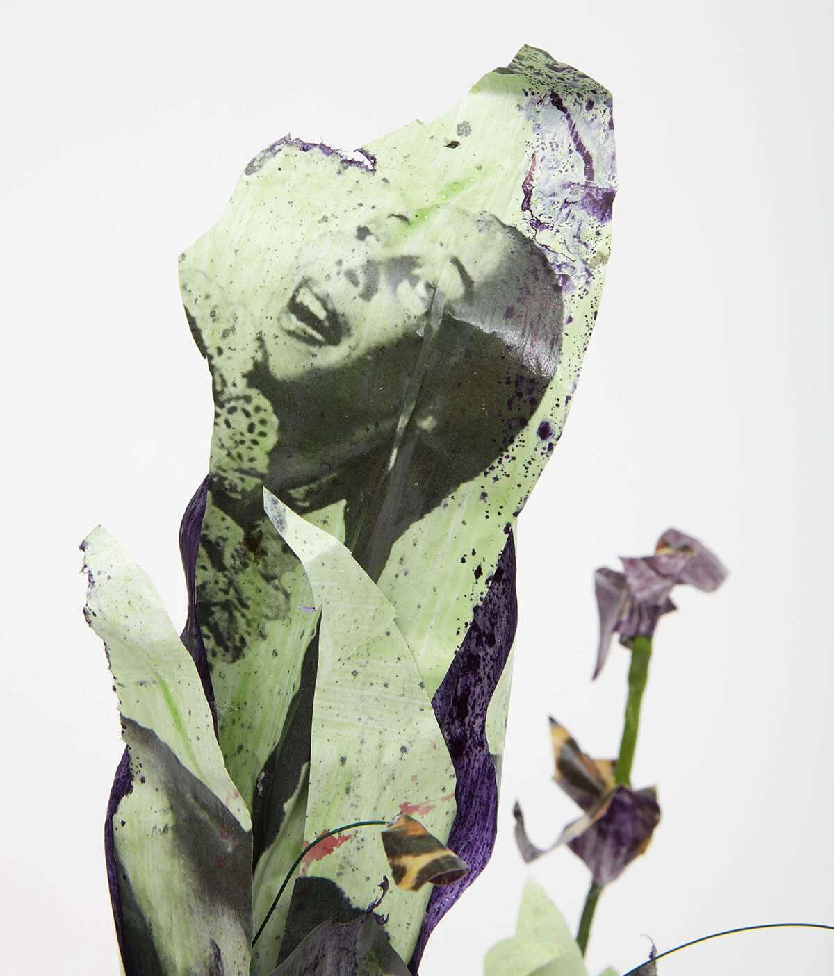 Kandis Williams: A Field, now on view at the Institute for Contemporary ...