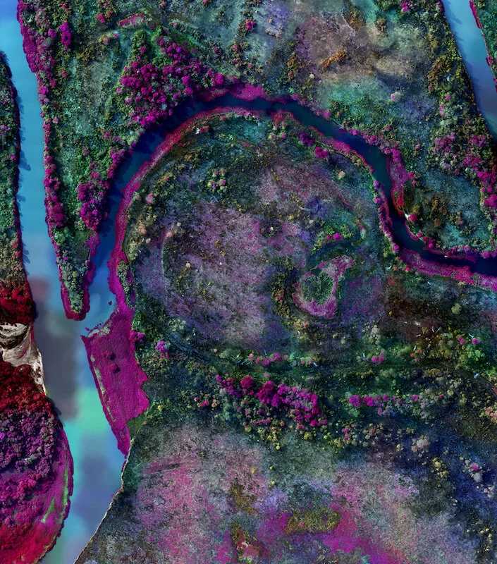 Exhibition Review: Richard Mosse "Tristes Tropiques" — Musée Magazine