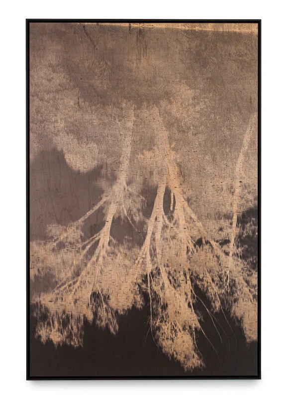 Exhibition Review: Clifford Ross "Prints On Wood" — Musée Magazine