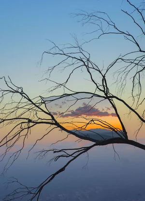 National Photography Month: KangHee Kim — Musée Magazine