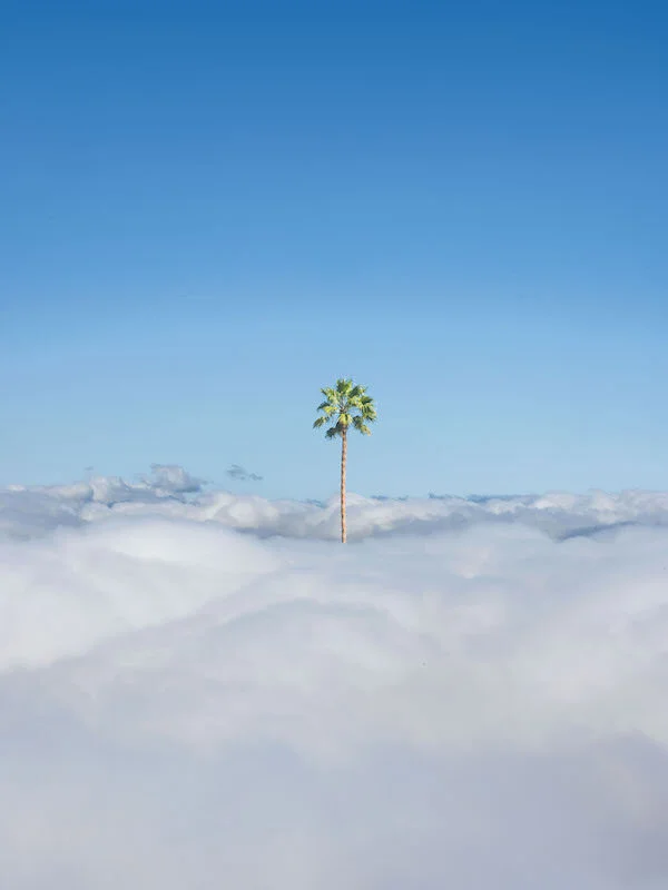 National Photography Month: KangHee Kim — Musée Magazine