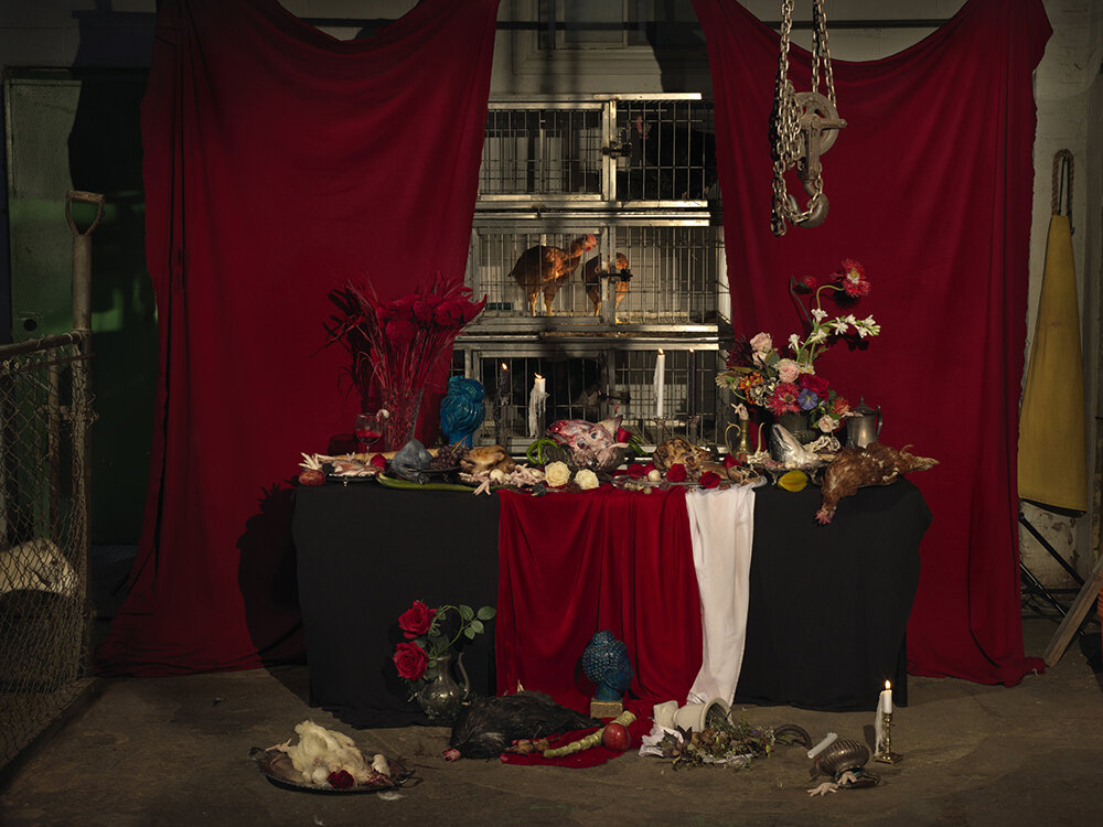 Photo Journal Monday: Gong Cheng — Musée Magazine