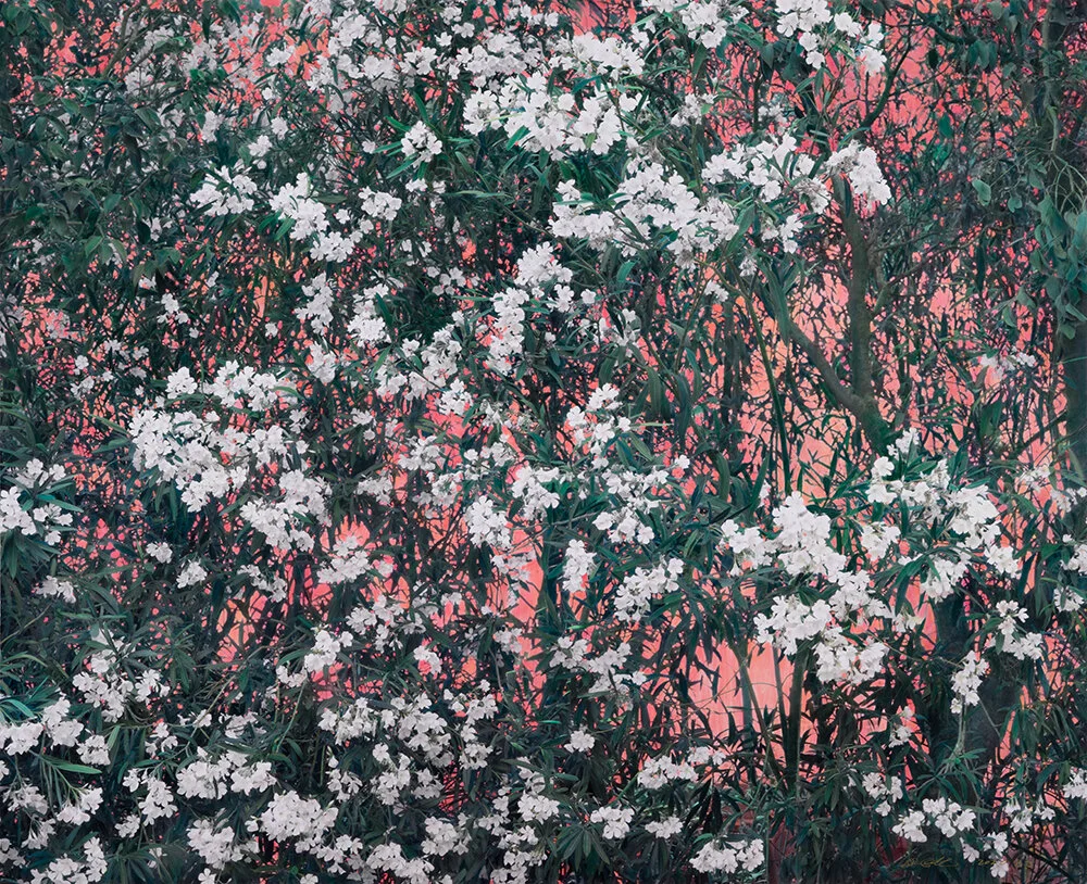 Starting A New Conversation on Photography in China: An Interview with ...
