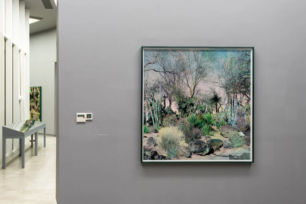 Starting A New Conversation on Photography in China: An Interview with ...