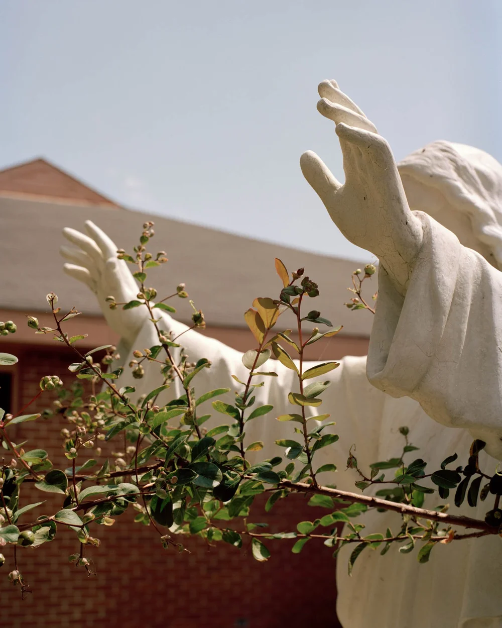 Weekend Portfolio: Emile Askey — Musée Magazine