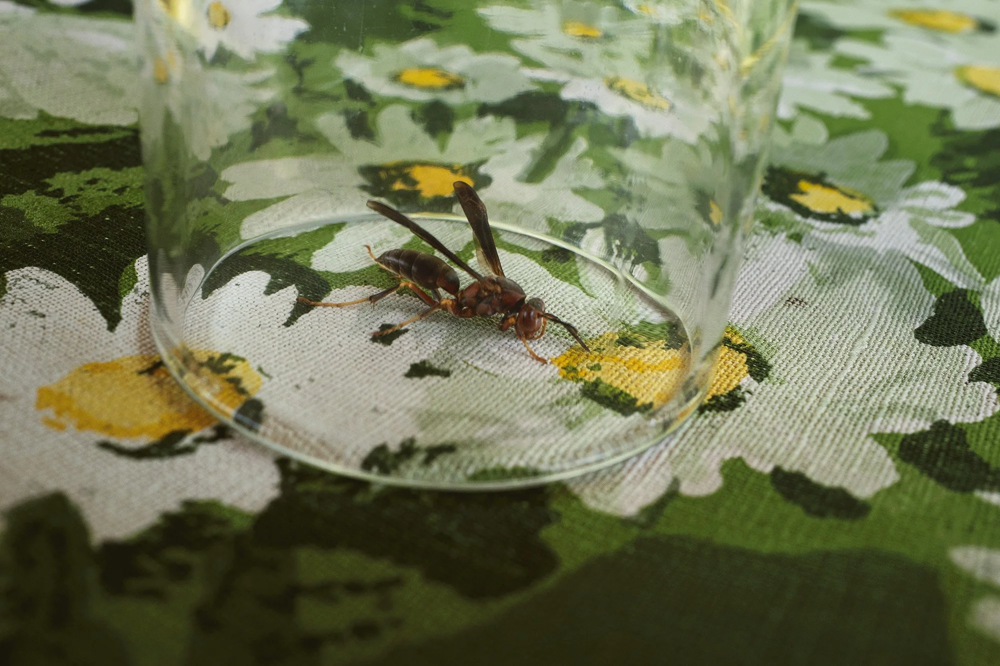 Moment: Rebecca Norris Webb — Musée Magazine