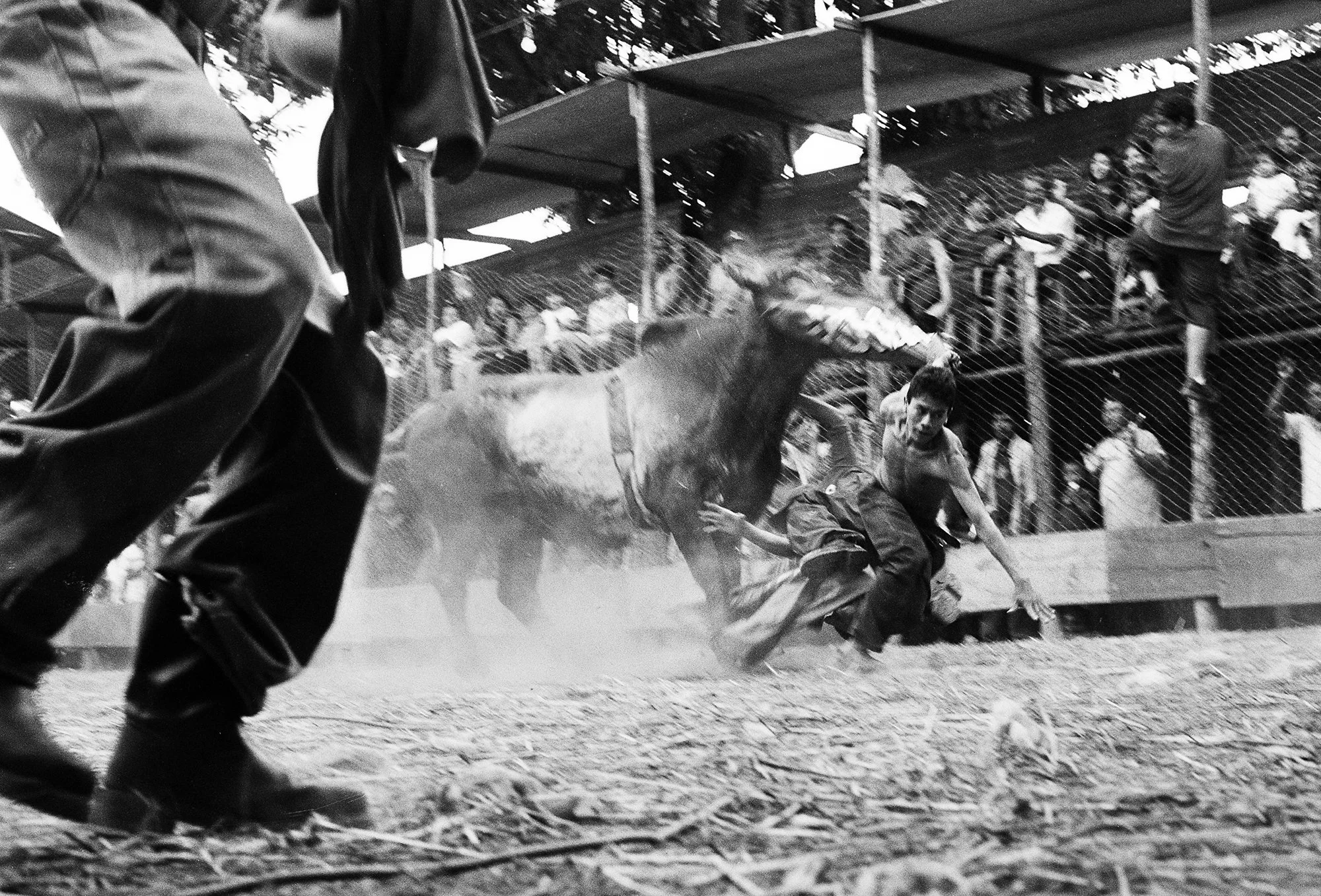 Weekend Portfolio: Charlie Ferguson - Nicaragua, Nicaragüita — Musée ...