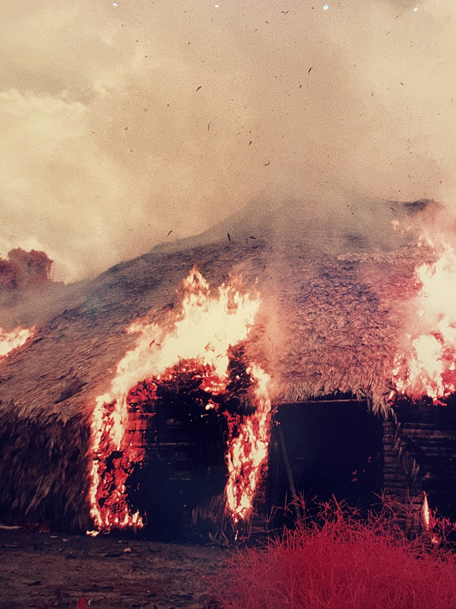 Exhibition Review: The Yanomami Struggle — Musée Magazine