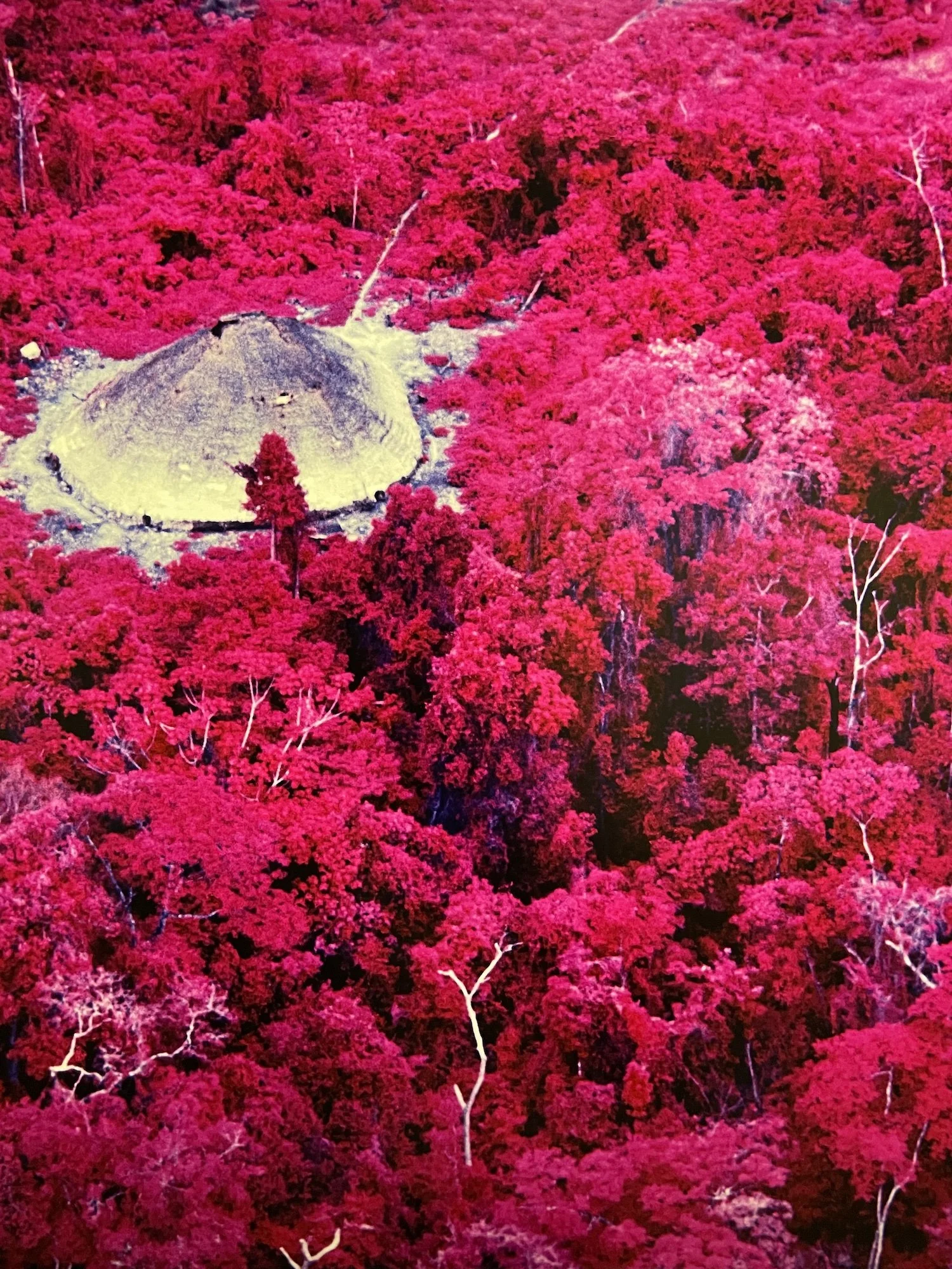 Exhibition Review: The Yanomami Struggle — Musée Magazine